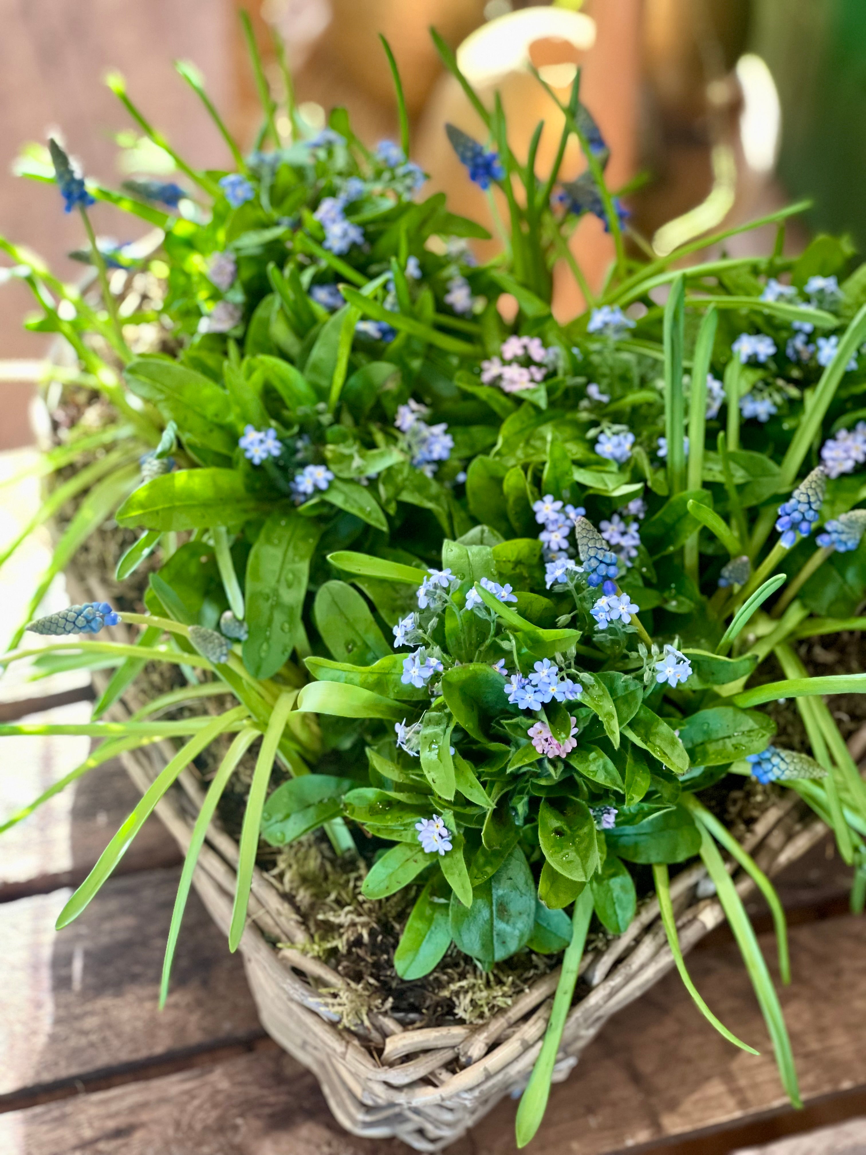 In My Heart / Forget Me Not – Branch and Bloom